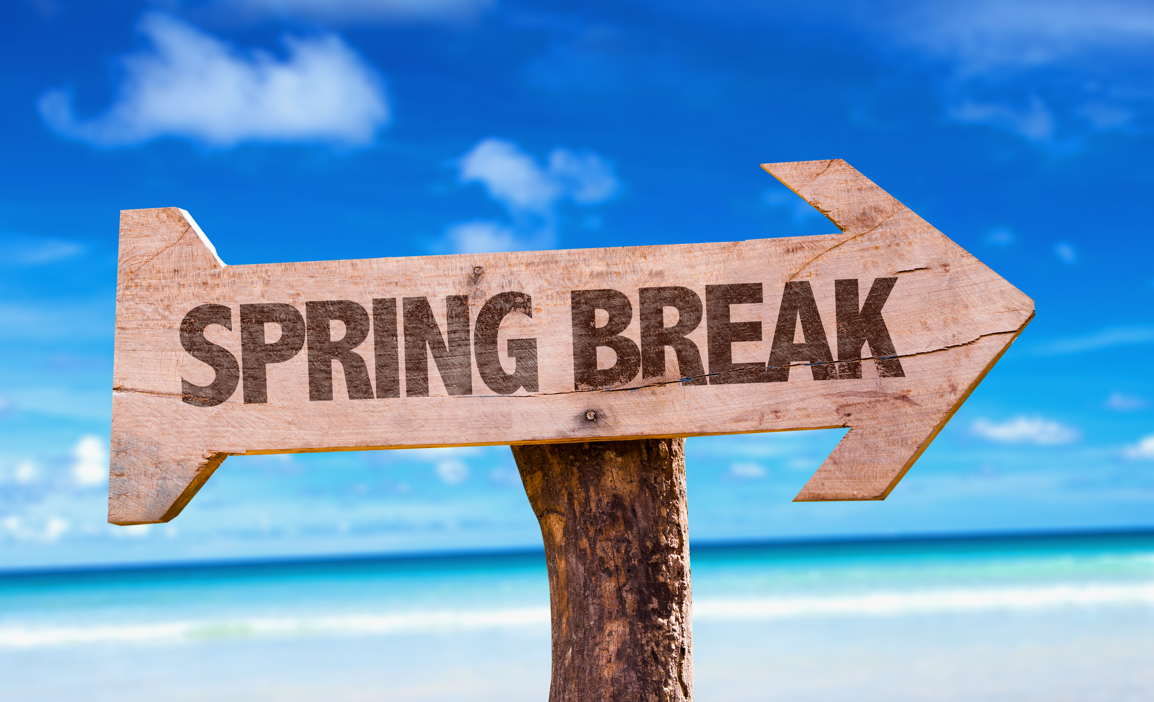 The Top Spring Break Destinations to Visit in an RV - Thor Motor Coach